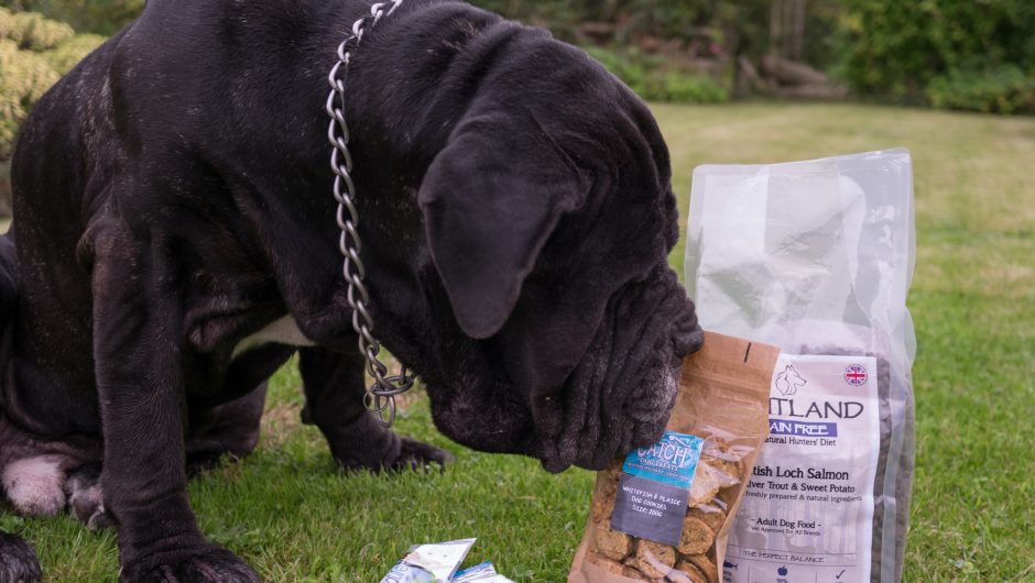 Yes, this is a blog post about dog food! Natural grain-free food and ...