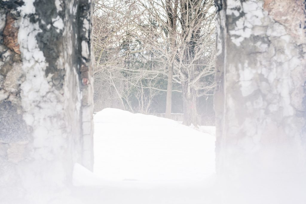 Walking alone in Montgomery Pinetum, Connecticut | When I Grow Up