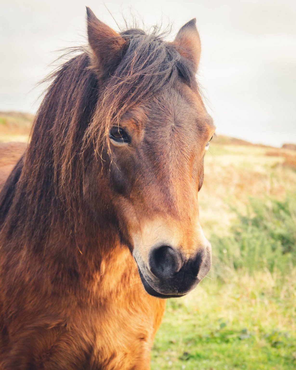 Poldark country. (Visiting Cornwall) | When I Grow Up